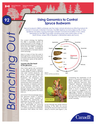 Using Genomics to Control Spruce Budworm | Canadian Conservation and Land Management (CCLM ...